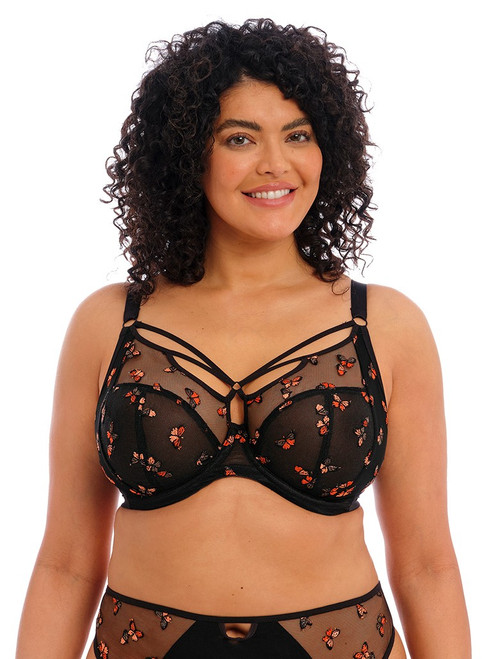 Elomi Sachi Plunge El4353 Bra~vo Intimates